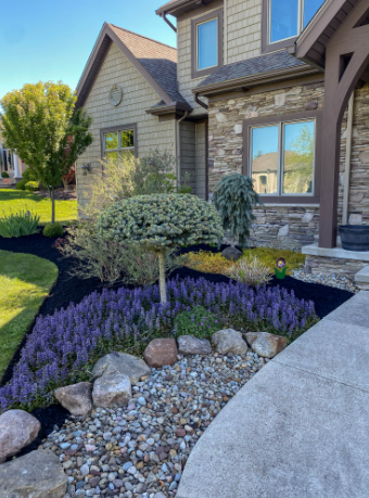 Home - | Marks Pro Services LLC